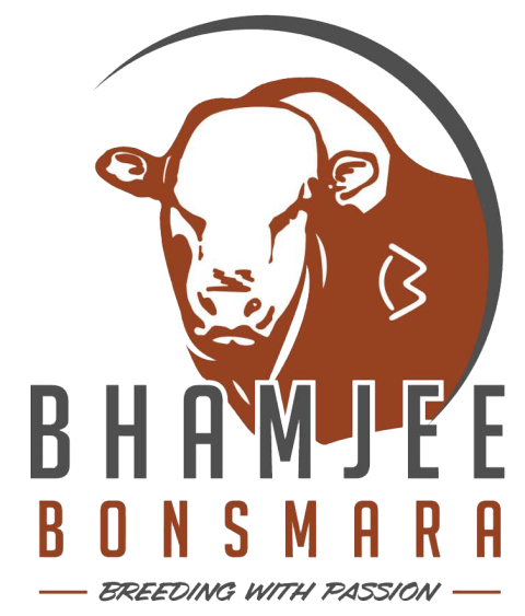 About Bonsmara - Bhamjees Bonsmara